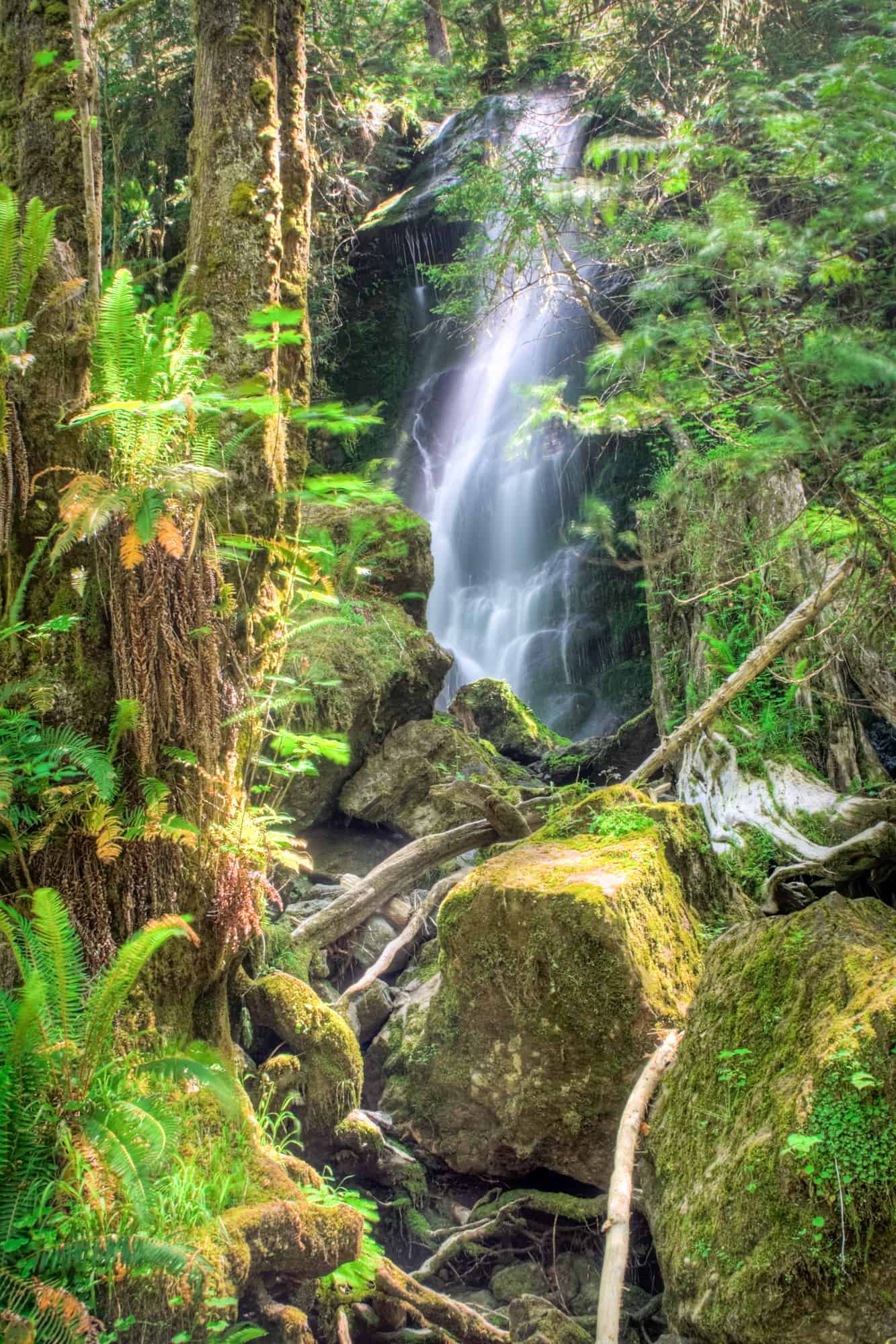 11 Epic Waterfalls In Olympic National Park (& Nearby)