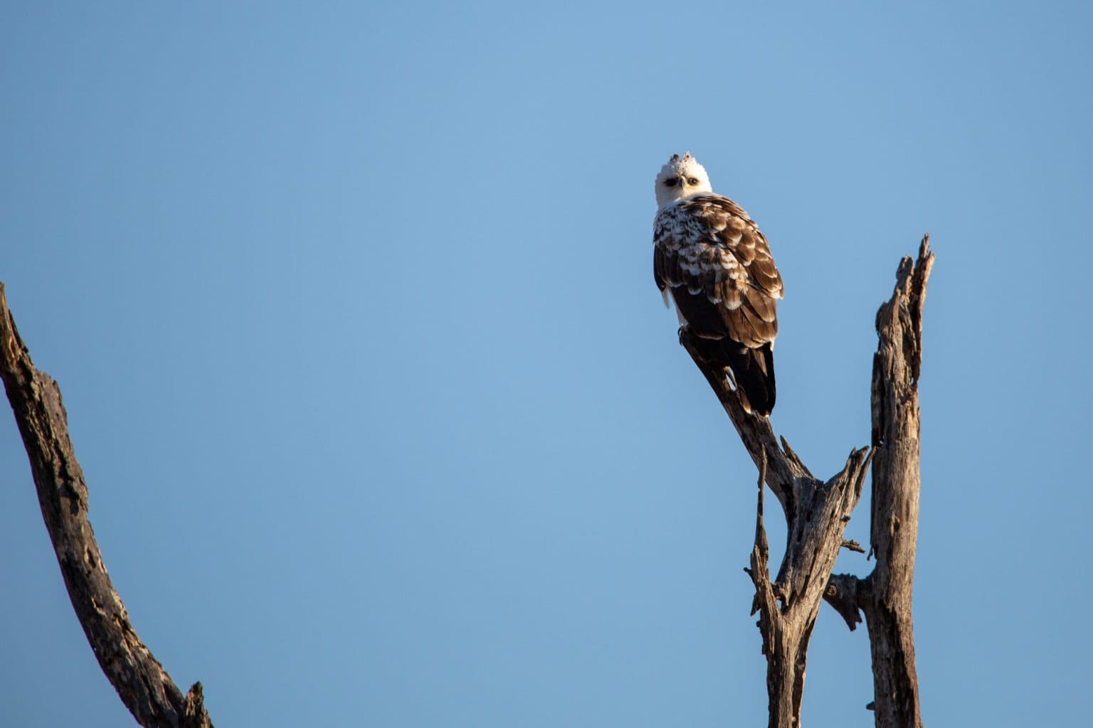 Season by Season: Best Time to Visit Kruger National Park