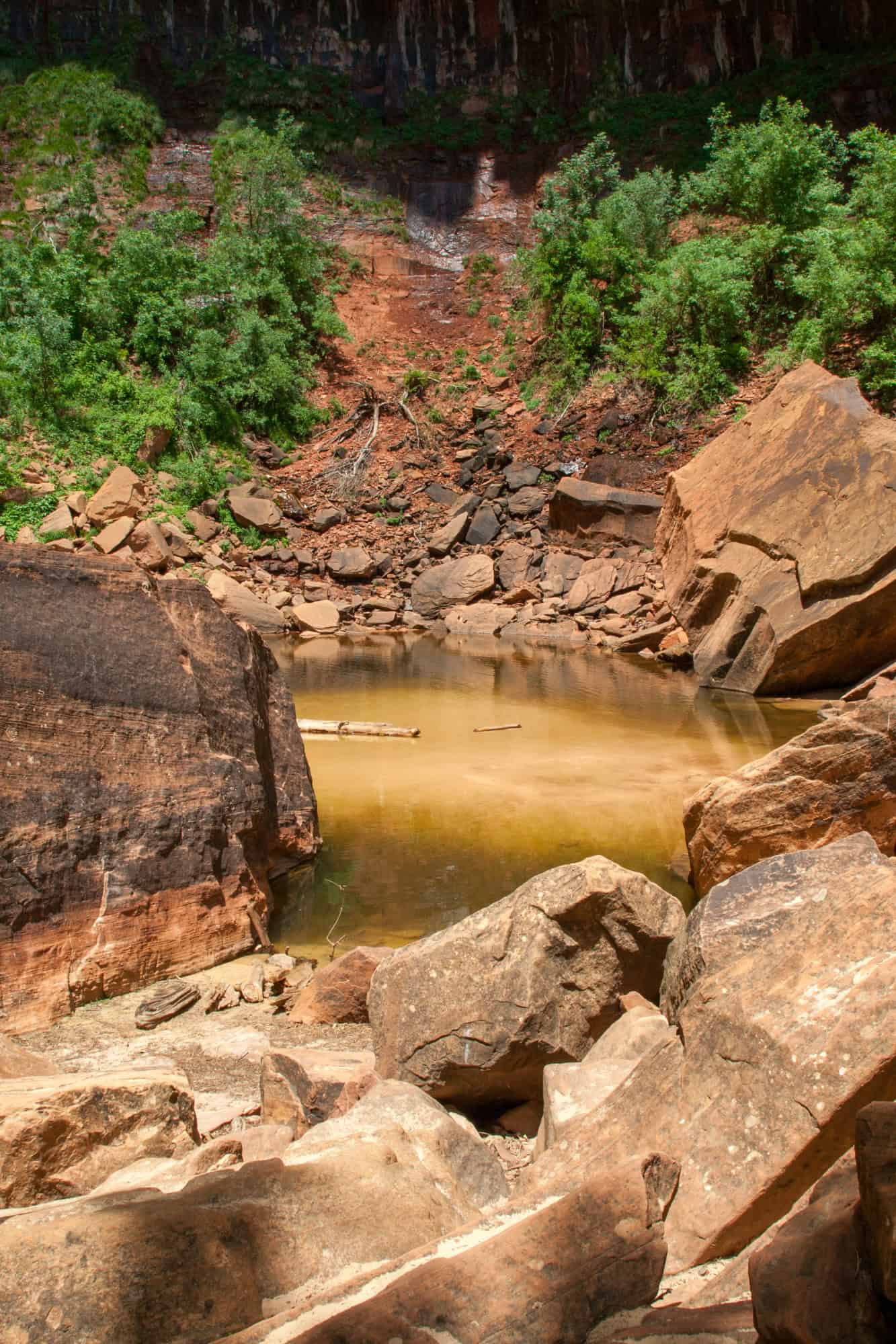 5-Minute Guide To Zion National Park