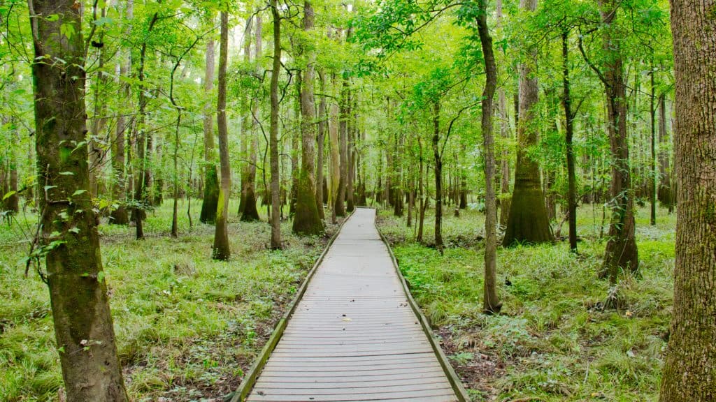 15 Smallest National Parks That Prove Size Doesn’t Matter For Stunning ...