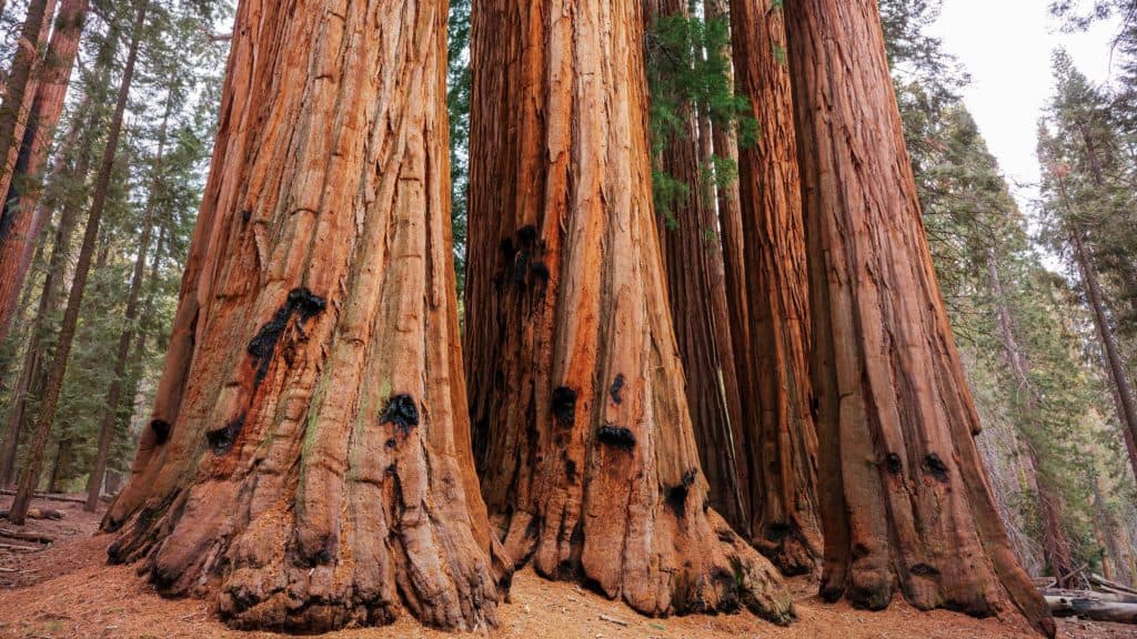11 National Monuments That Will Surprise You With Their Beauty