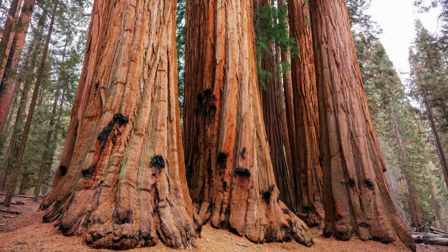 11 National Monuments That Will Surprise You With Their Beauty