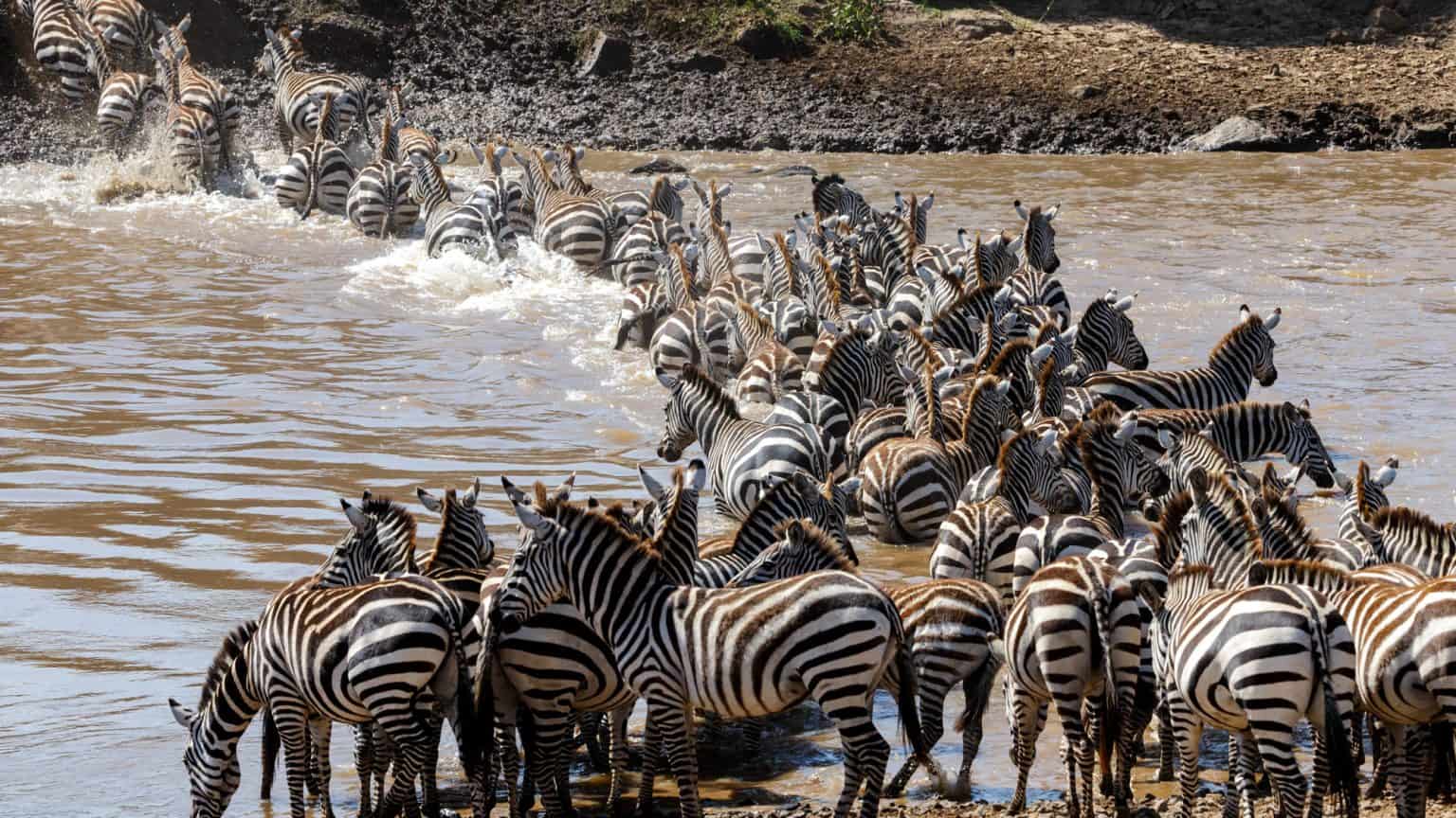 13 Untamed African National Parks Every Adventurer Must Visit