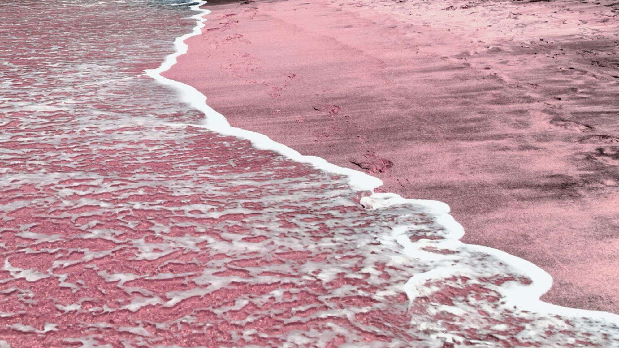 11 Pink Sand Beaches You’ll Be Mad You Didn’t Discover Sooner