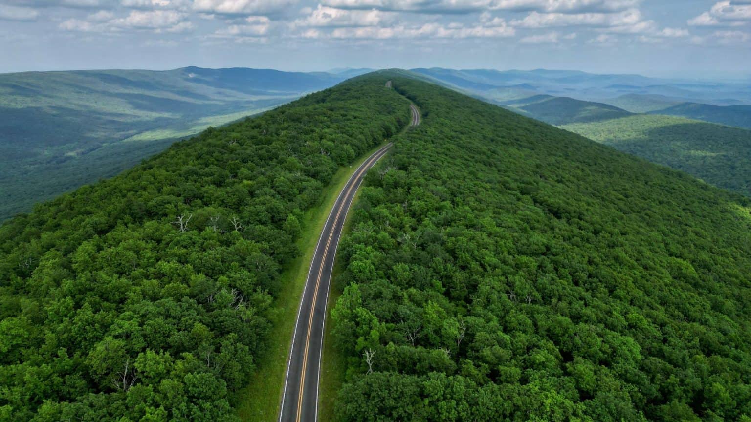 Think You’ve Seen Forests? These 14 U.S. Woodlands Prove You Haven’t