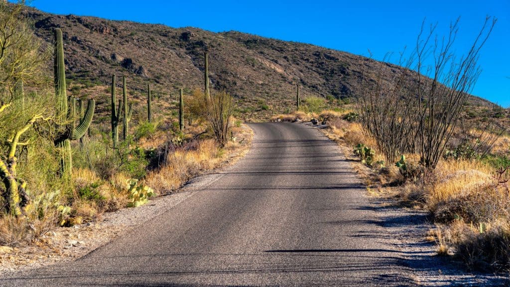 You Might Not Expect This Desert National Park To Feel Magical, But ...