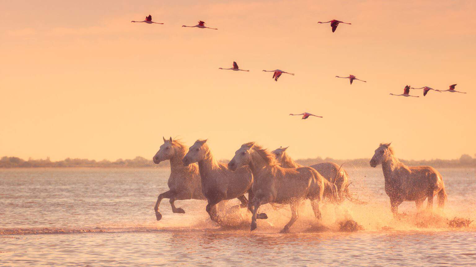 13 Untamed African National Parks Every Adventurer Must Visit