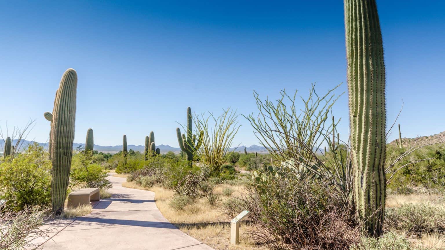You Might Not Expect This Desert National Park To Feel Magical, But ...