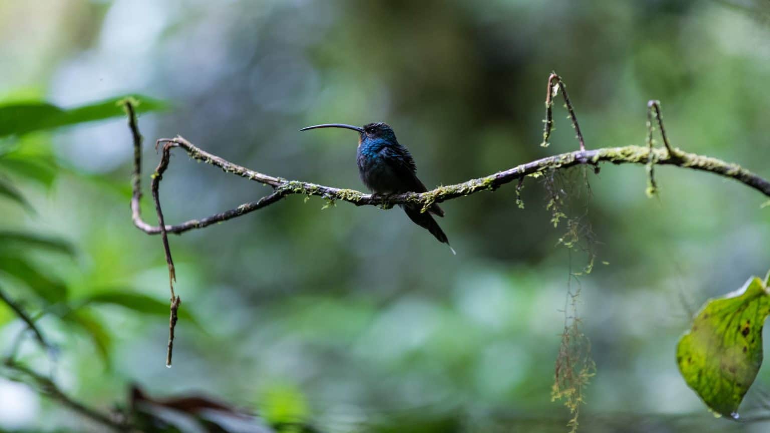 14 Birdwatching Destinations Around The World That Are Pure Magic