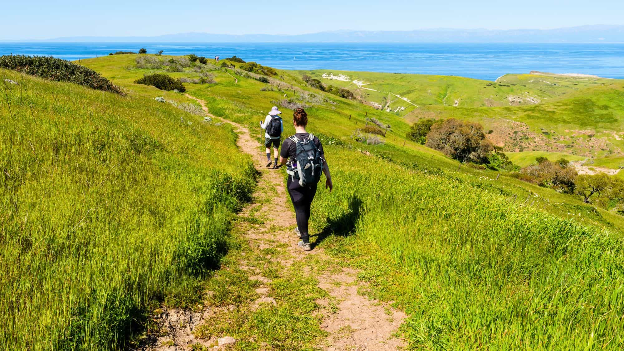 11 Breathtaking Coastal Walks In U.S. Parks That Reward Every Step