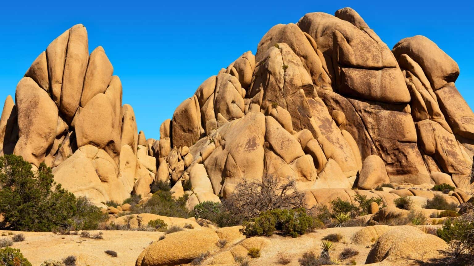 11 Essential Joshua Tree Experiences That Every First Timer Must Try
