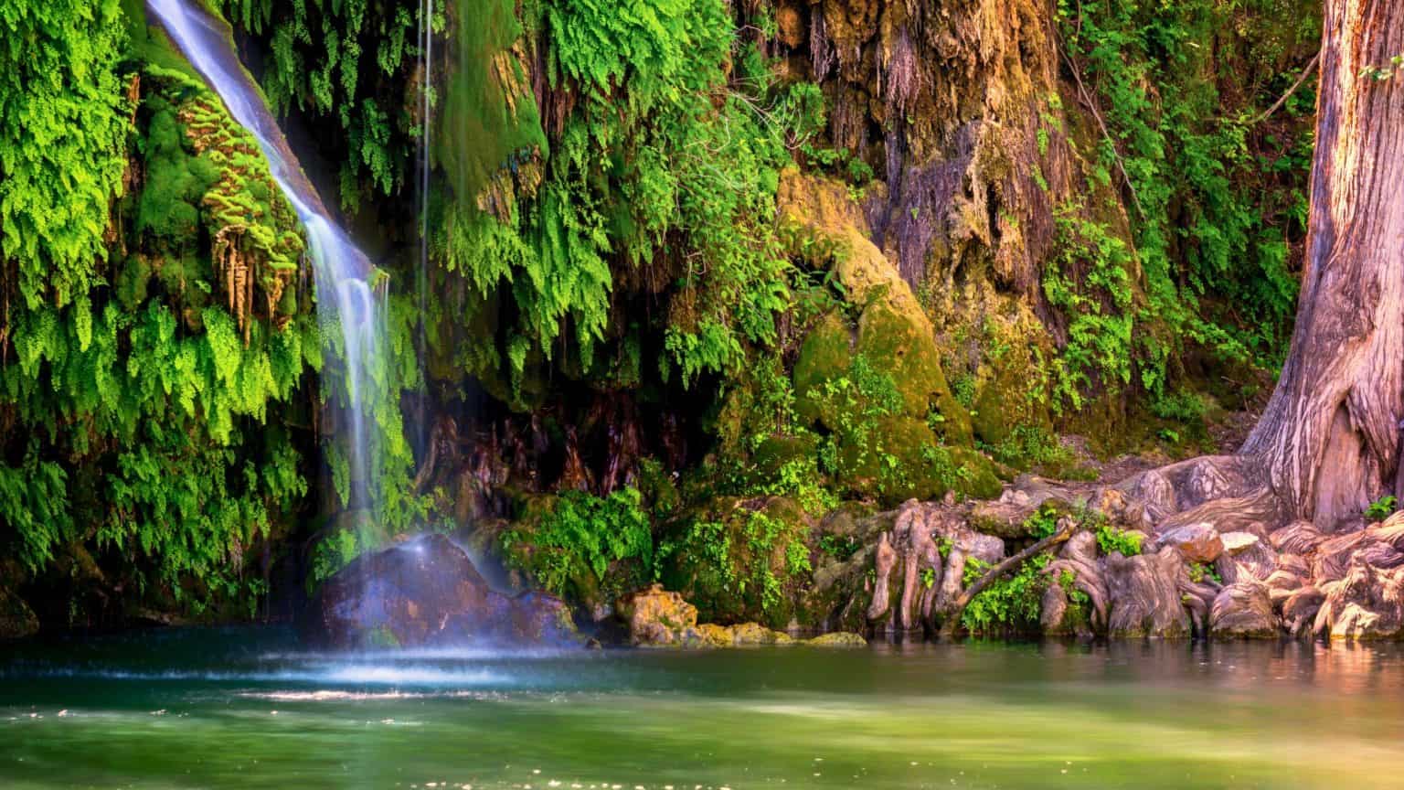 12 Hidden Natural Springs That Are Worth The Hike And Then Some