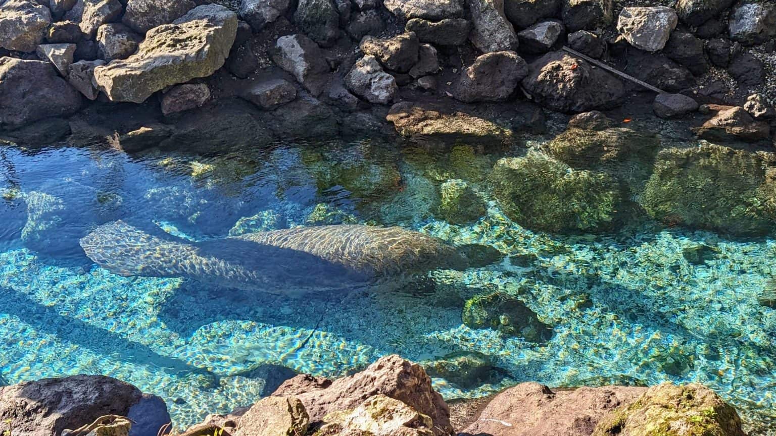 12 Hidden Natural Springs That Are Worth The Hike And Then Some