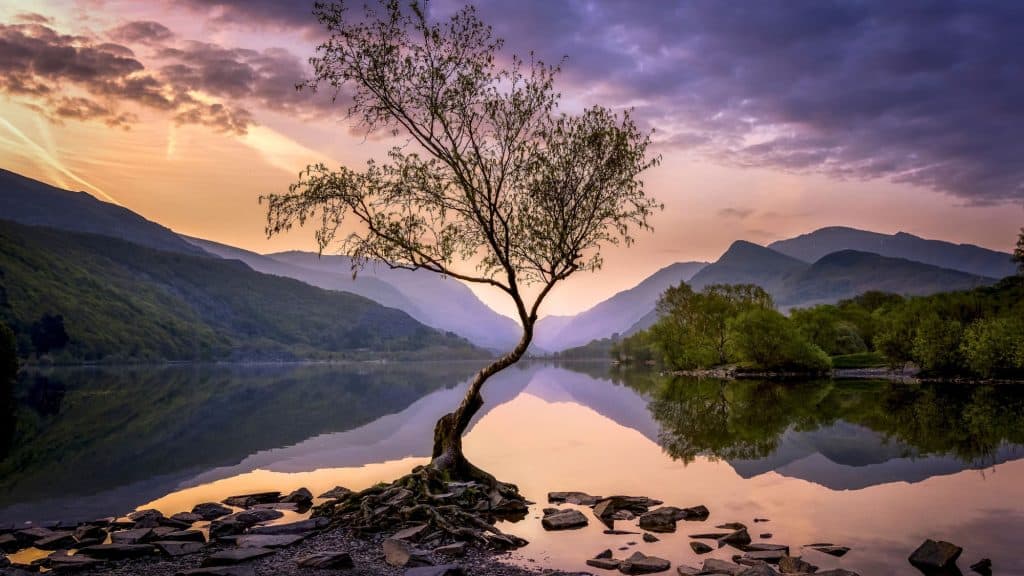 11 Unbelievably Quiet Places Where You Can Still Hear Nature’s True Silence